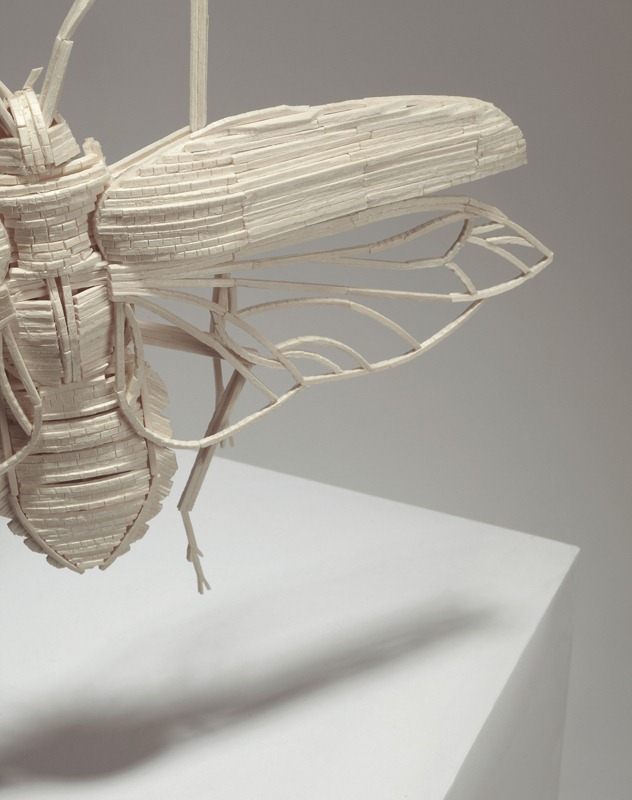 Insects Made From Matchsticks | Amusing Planet